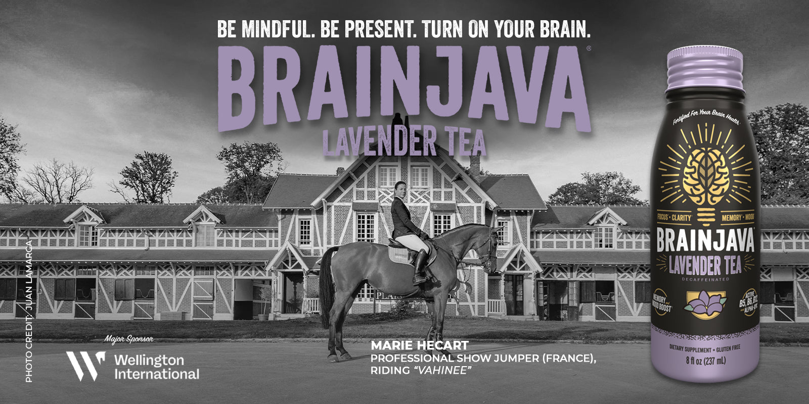 Available in 8 oz. 4-pack Ready To Drink Daily Brain Supplements